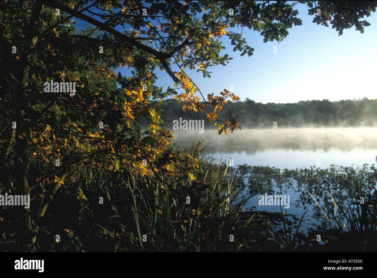 Lake at Epsom common United Kingdom Stock Photo - Alamy