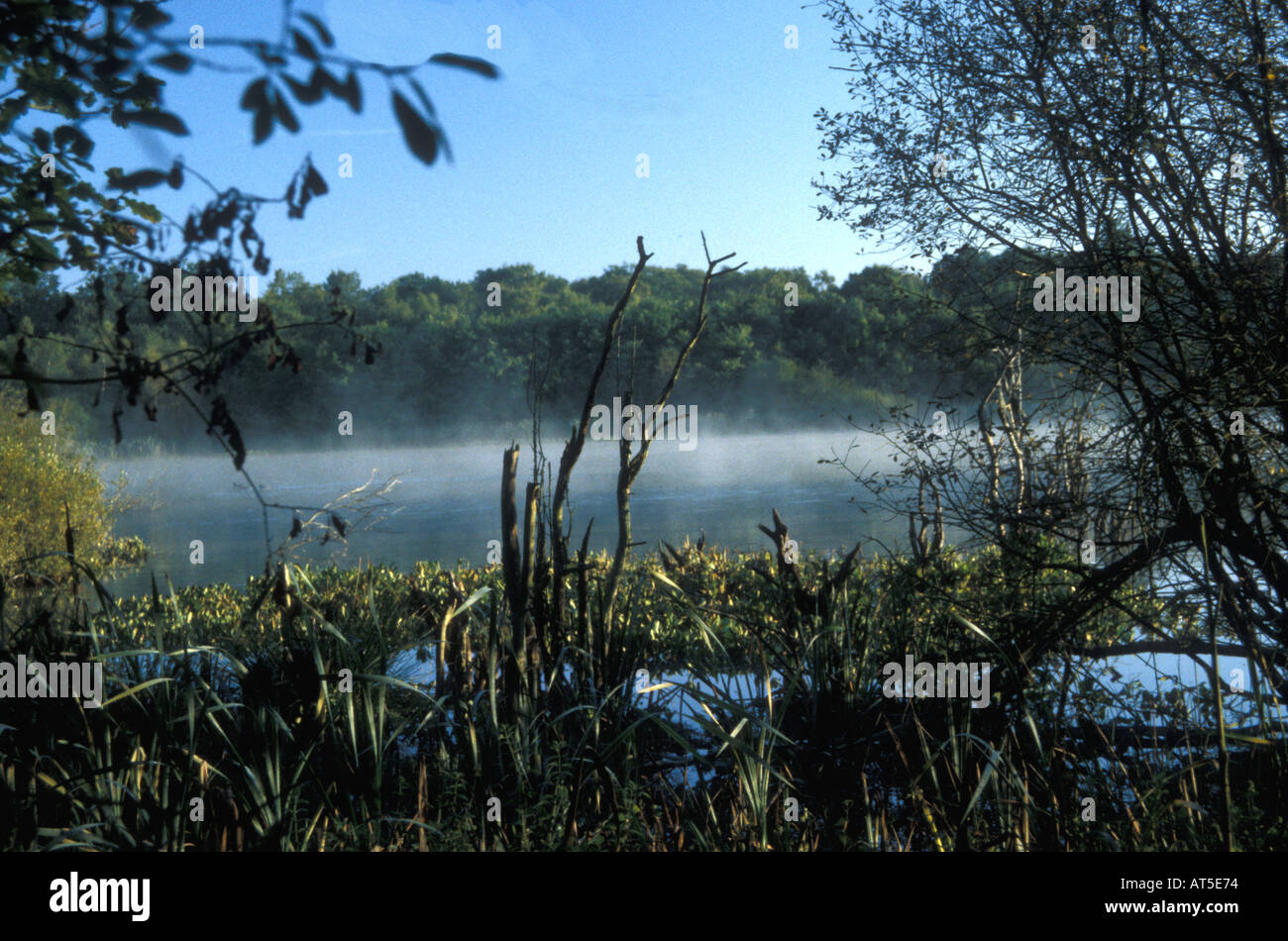 Epsom Common Nature High Resolution Stock Photography and Images - Alamy