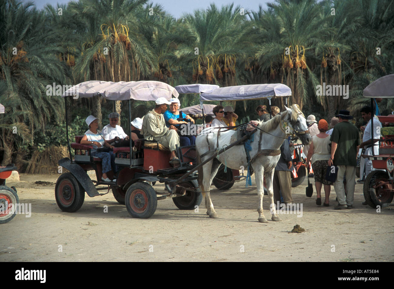 Caleche horse drawn carriage in hi-res stock photography and images - Alamy