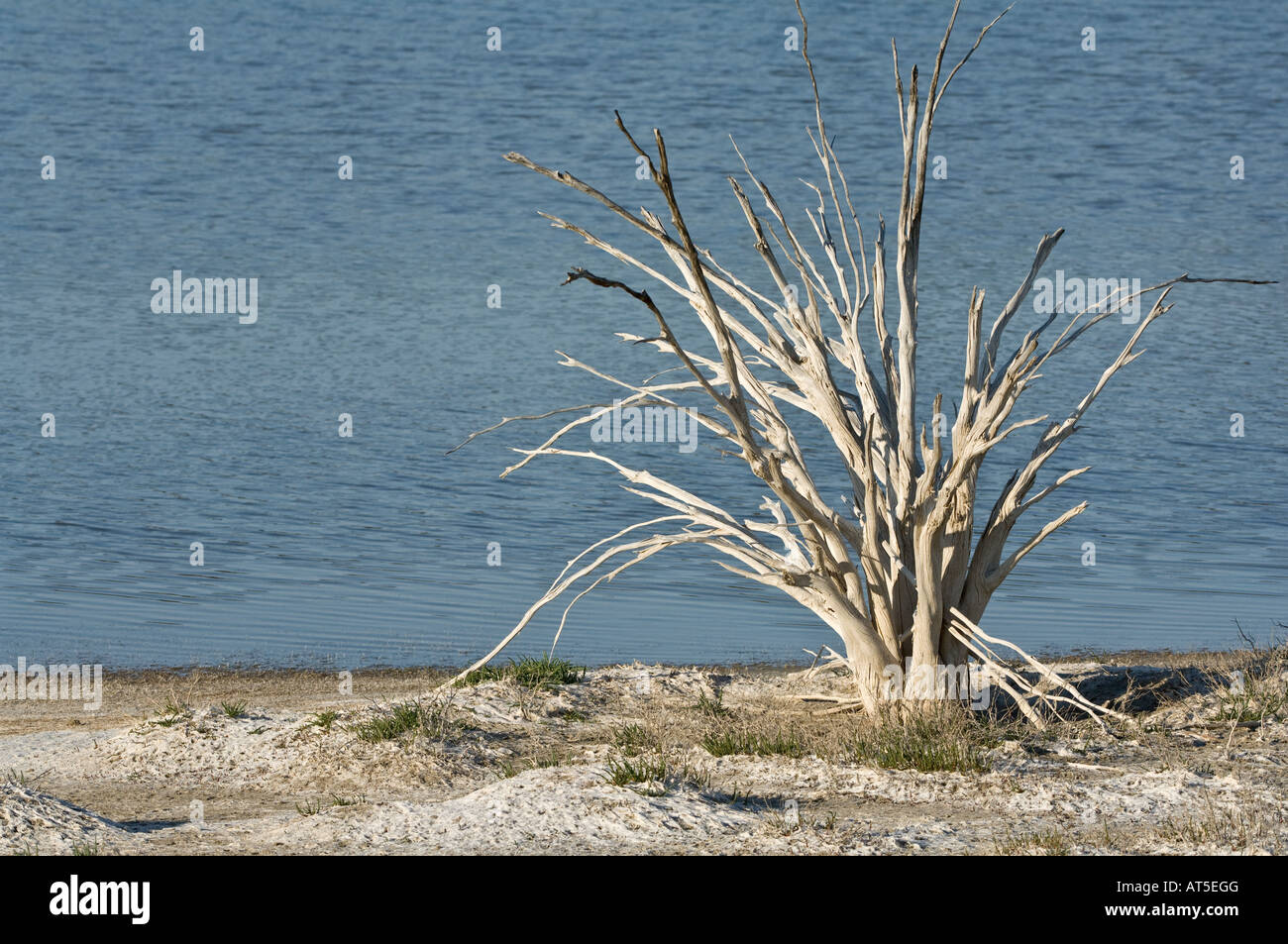 Salinisation hi-res stock photography and images - Alamy