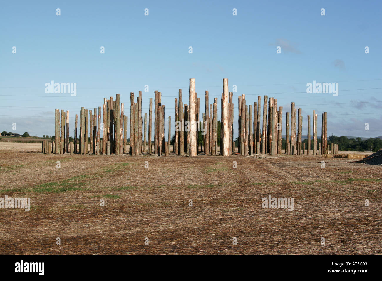 Woodhenge Reconstruction