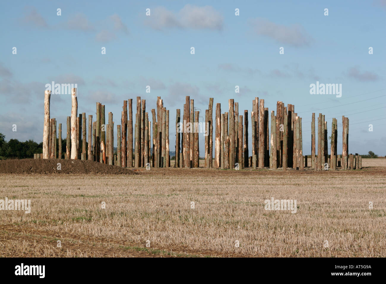 Durrington Walls Reconstruction