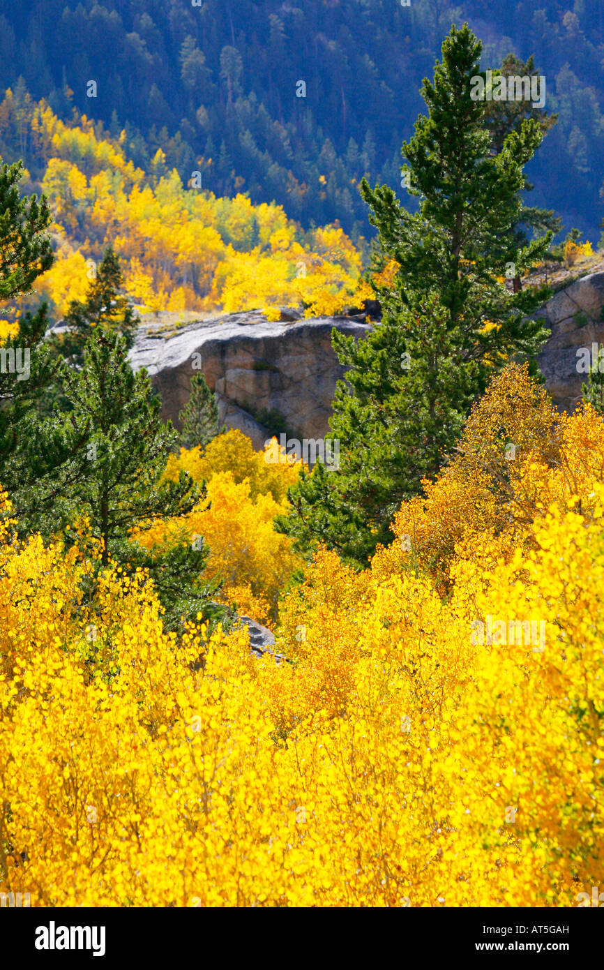 San Isabel National Forest, Colorado Stock Photo - Alamy