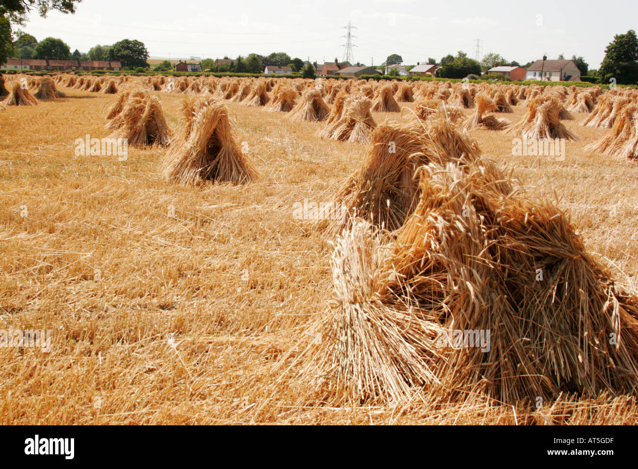 Hay stocks hi-res stock photography and images - Alamy