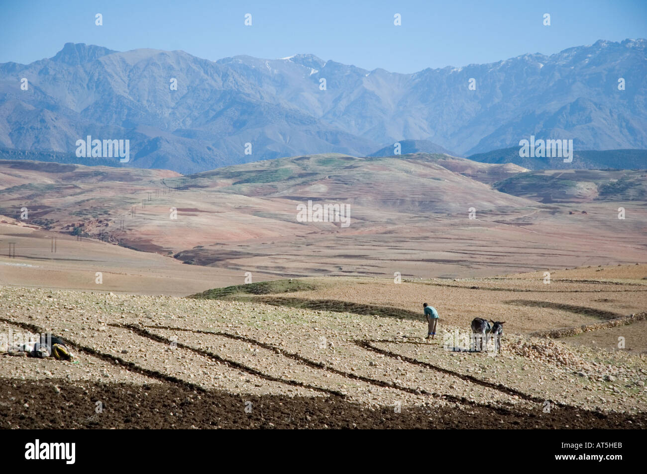 Marginal land hi-res stock photography and images - Alamy