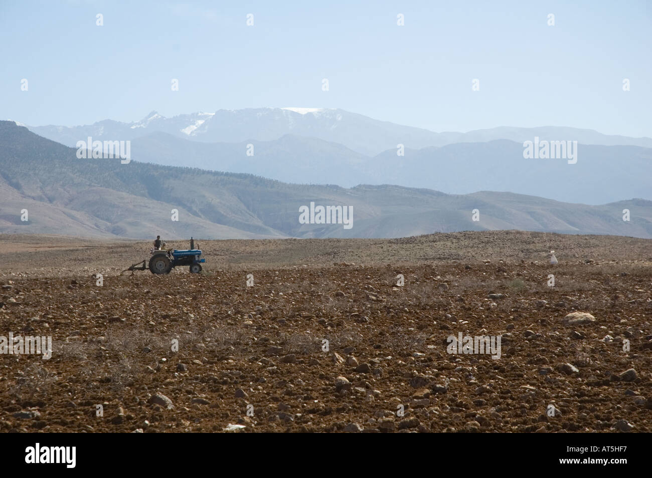 Marginal land hi-res stock photography and images - Alamy