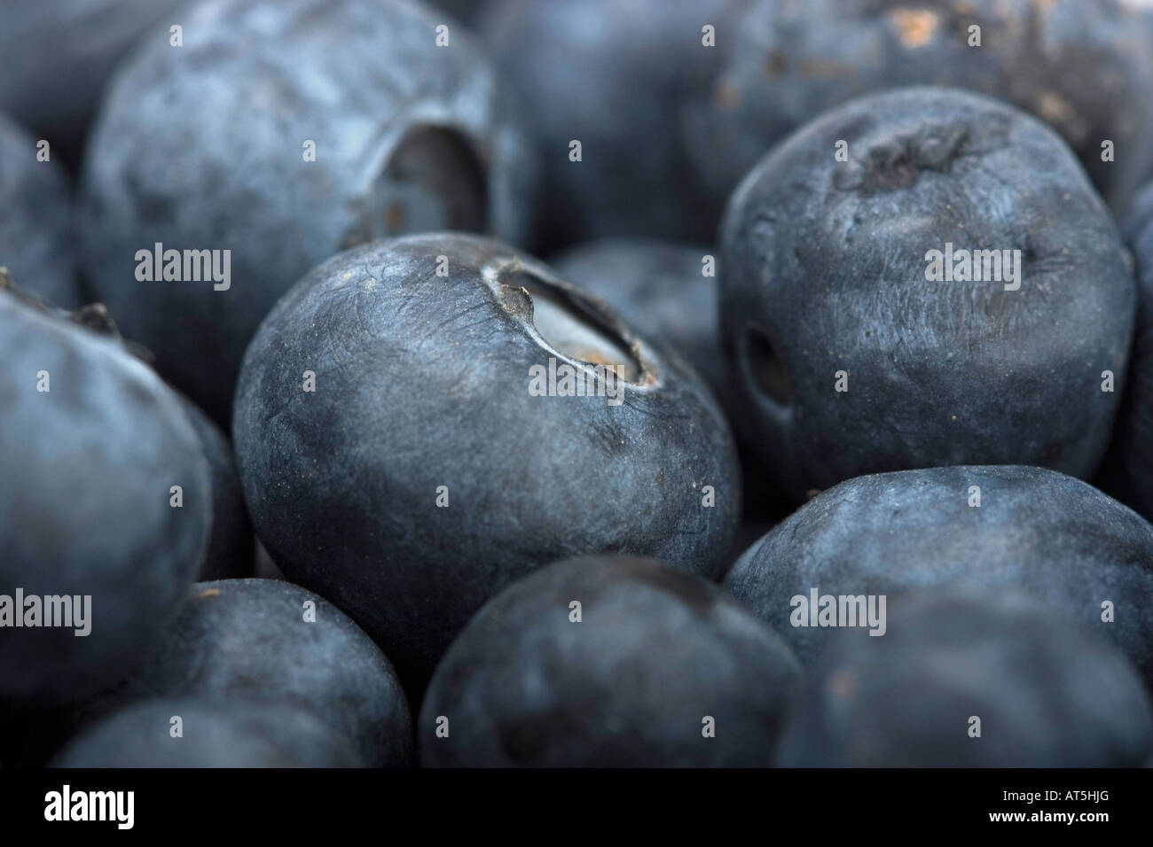 Blueberries fruit selling at farmers market close up overhead from ...