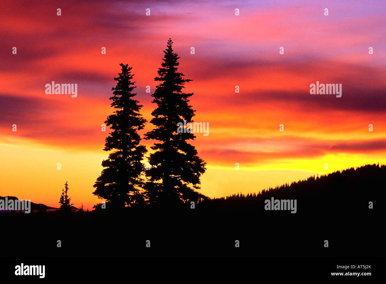 Sunset over Hurricane Ridge, Olympic National Park, Washington State ...