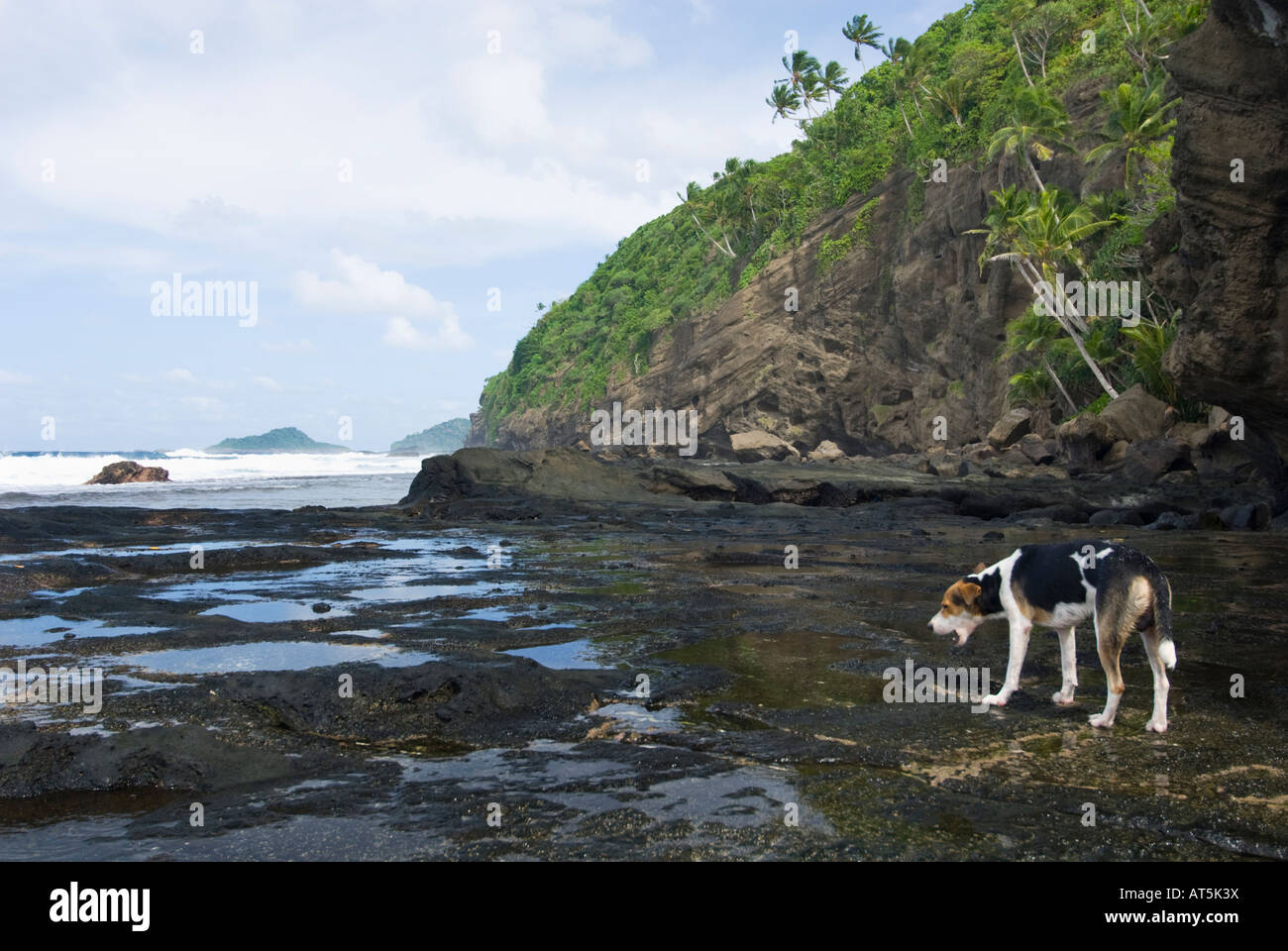 Namua island samoa hi-res stock photography and images - Alamy
