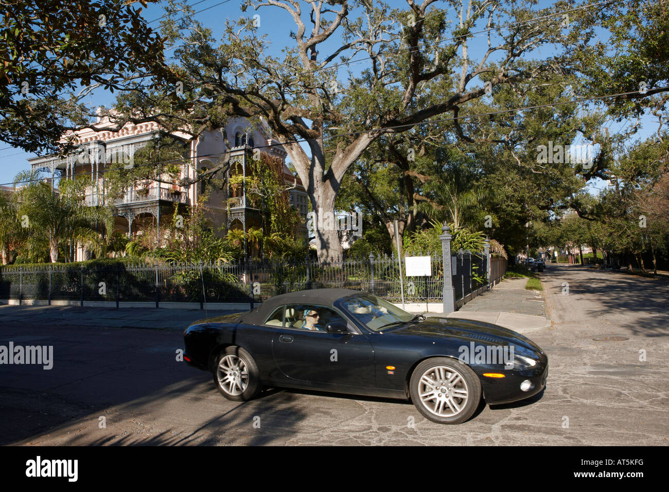 A car drives down the street under old oak trees in the Garden District ...