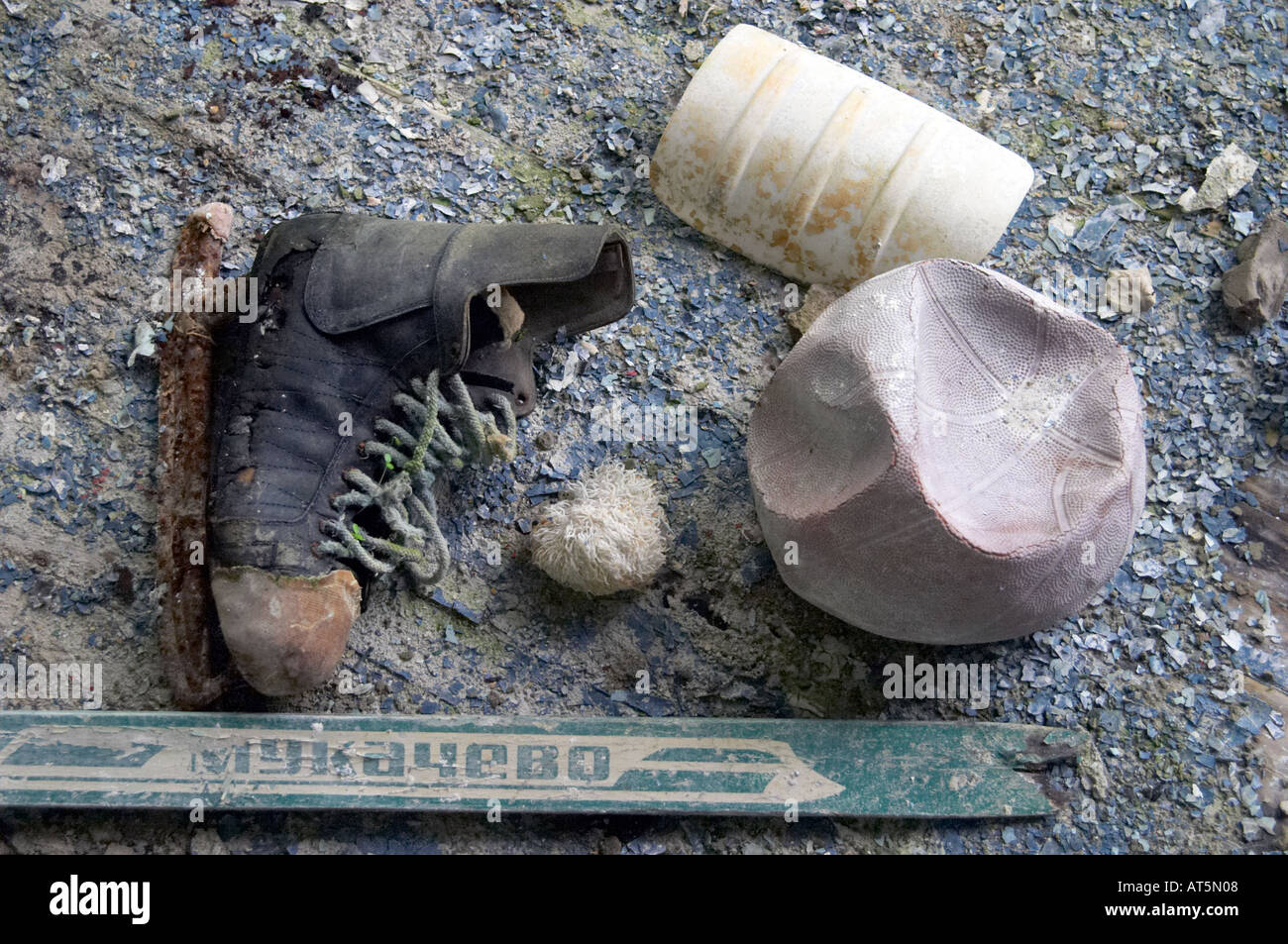 a skate, ball and a ski in a school in Prypiat (Chernobyl), Ukraine. 19 ...