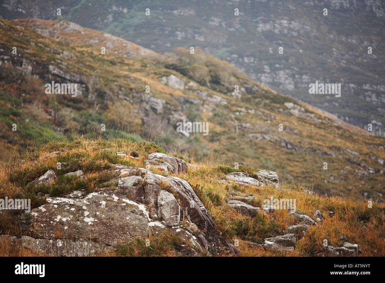 Mountain in Killarney National Park, County Kerry, Republic of Ireland ...