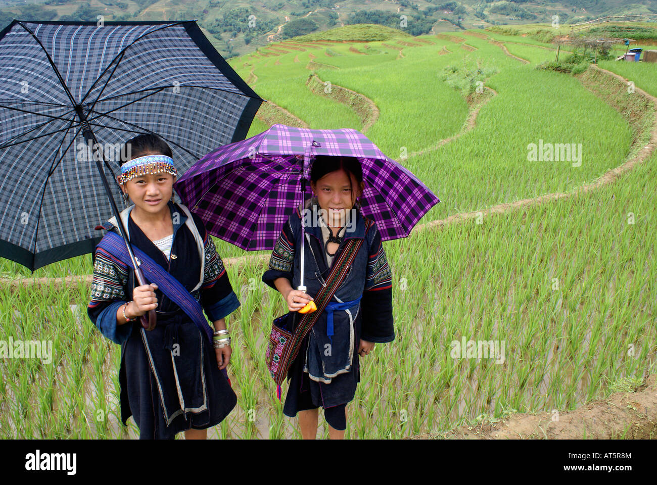 Two Black Hmong ethnic minority girls standing in a rice field, Sapa ...