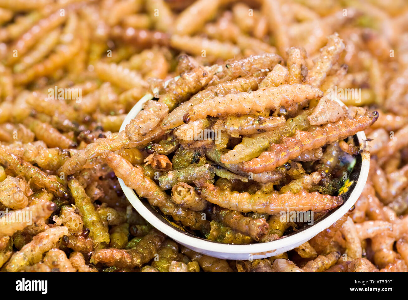 Deep fried caterpillars Stock Photo - Alamy