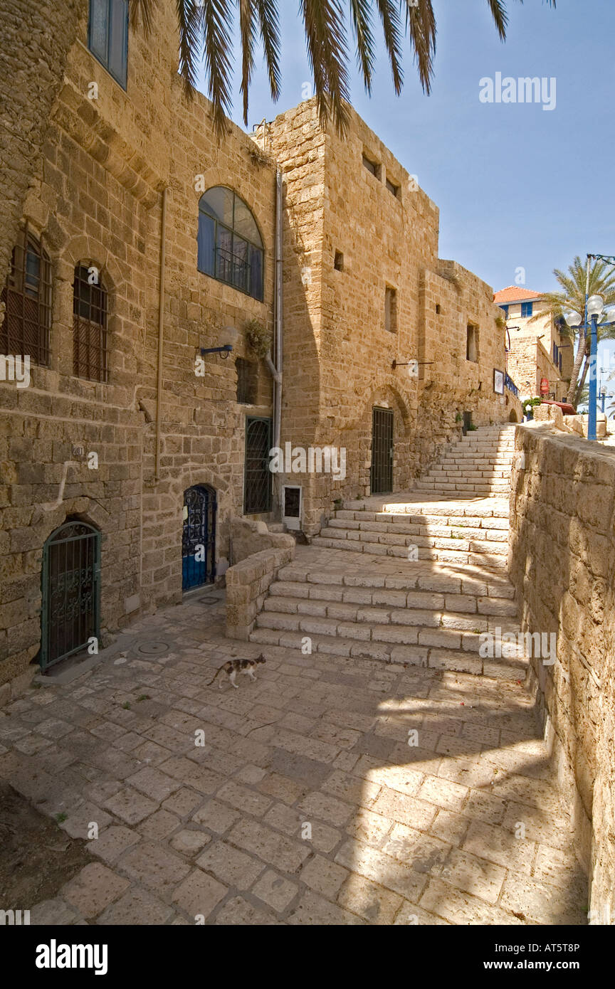 Israel Jaffa Narrow renovated alleyways in the artist colony in the old ...