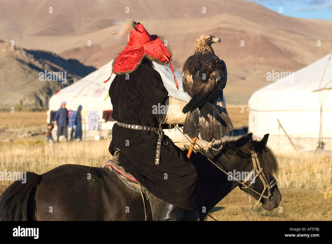 An eagle hunter prepares to demonstrate his eagle for spectators at the ...
