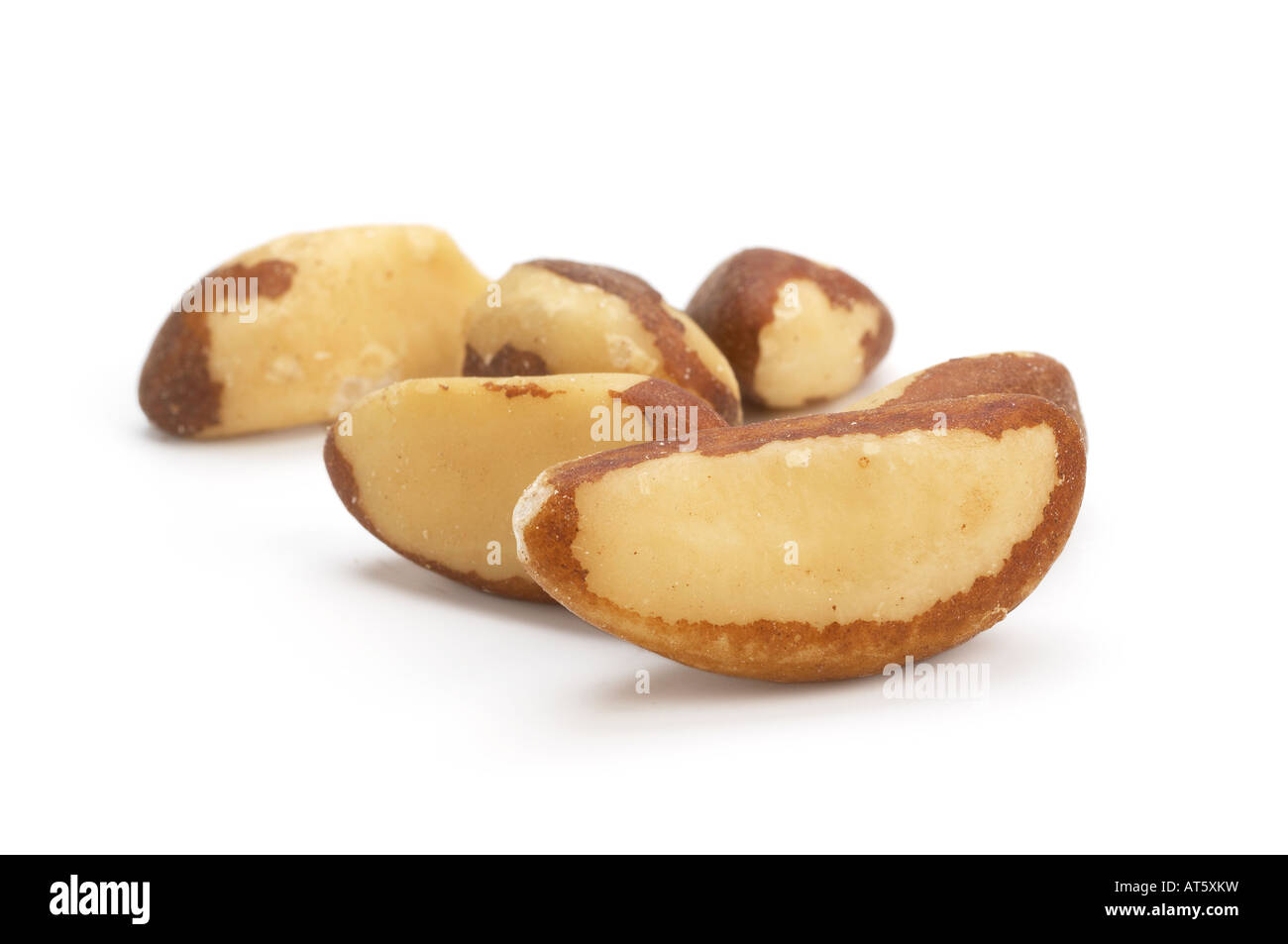 Brazil nuts hi-res stock photography and images - Alamy