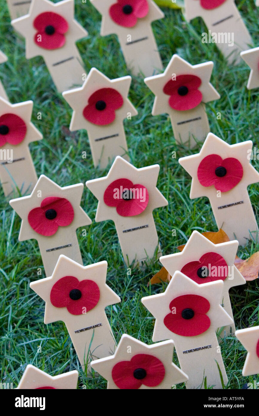 Jewish Crosses and poppies in field of remembrance at Westminster Abbey ...
