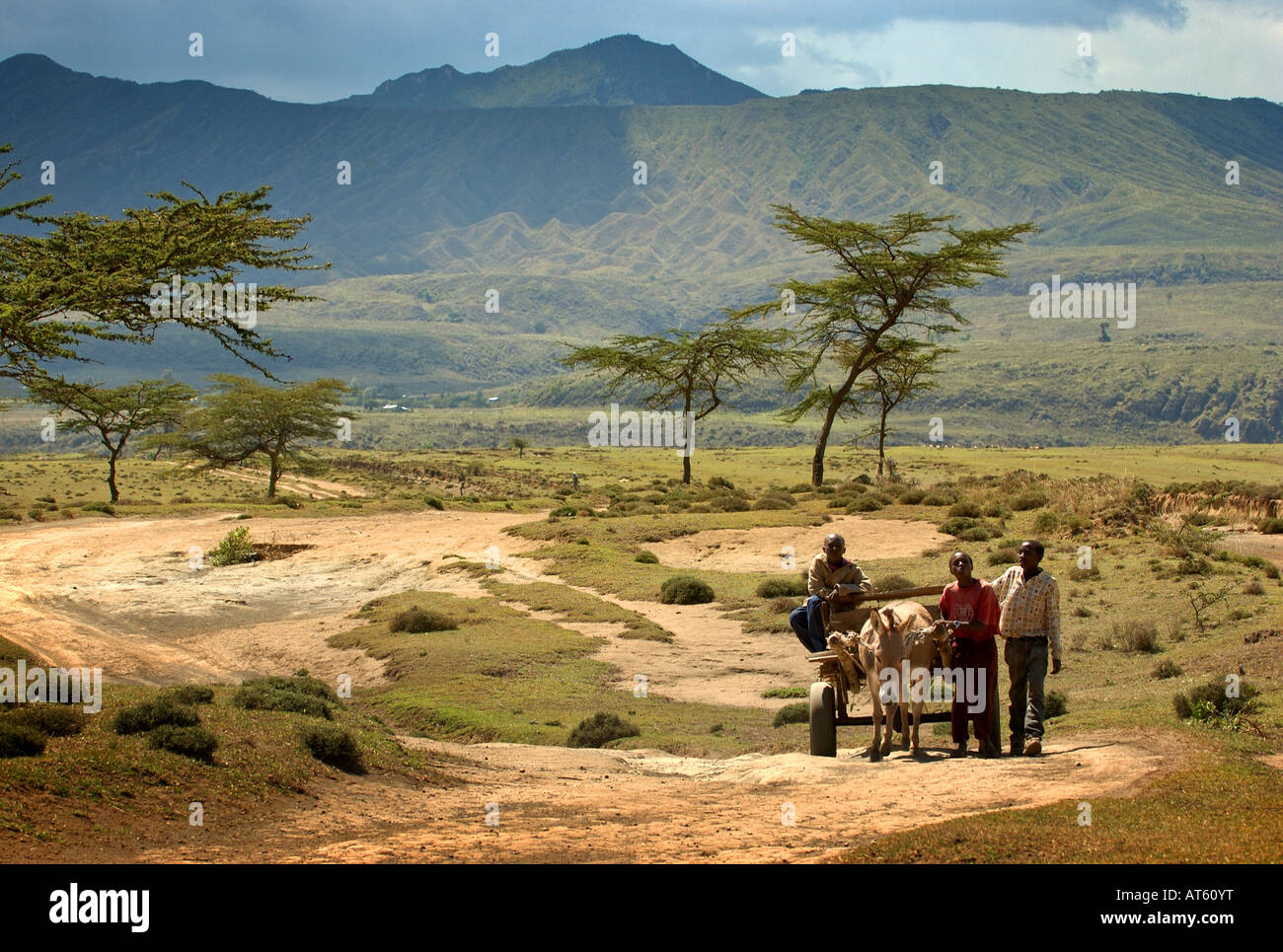 Children with a donkey cart in the Rift Valley south of Naivasha Kenya ...