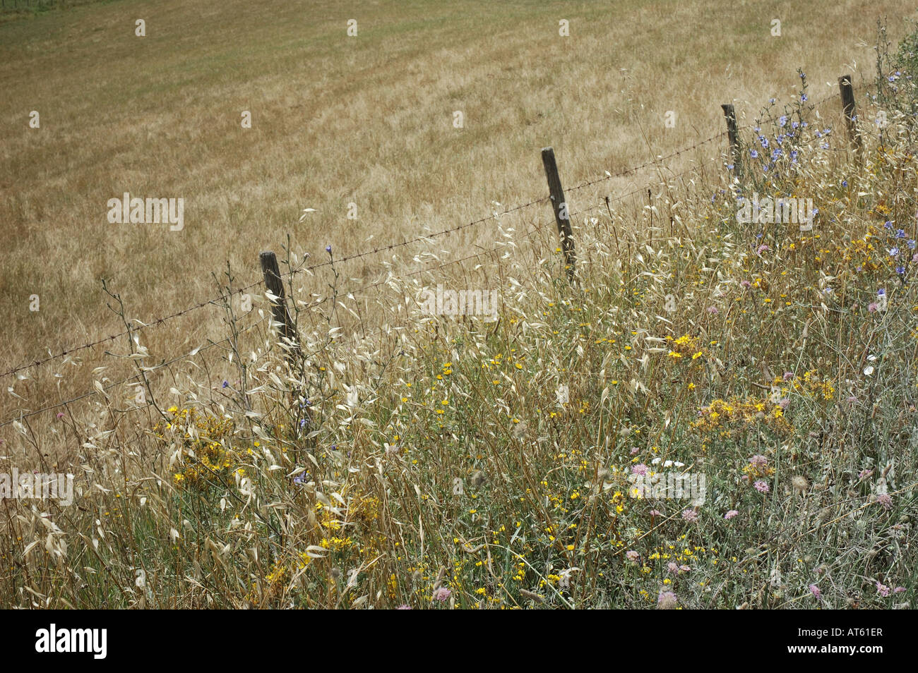 Field and fence Stock Photo - Alamy