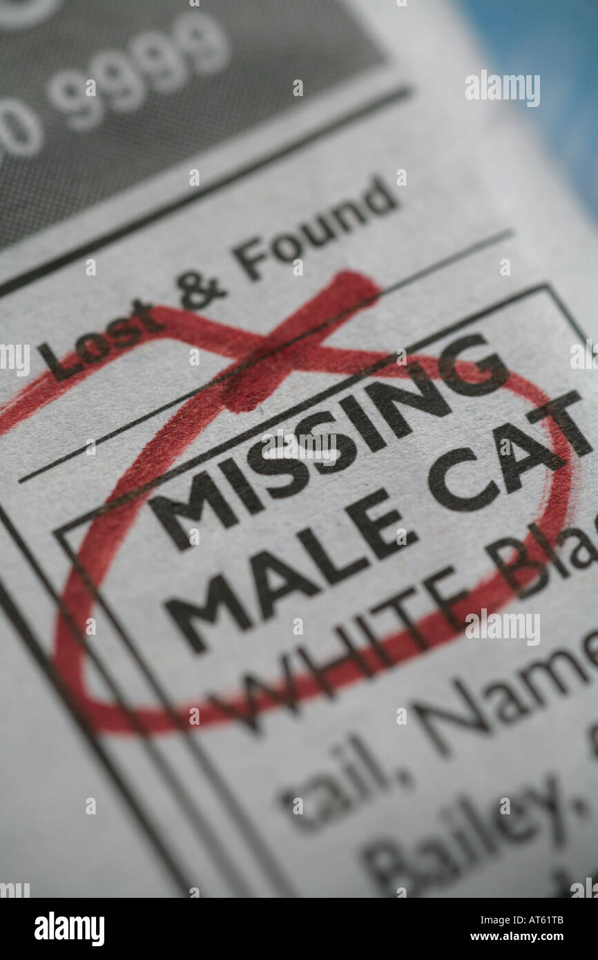 Lost cat notice hi-res stock photography and images - Alamy