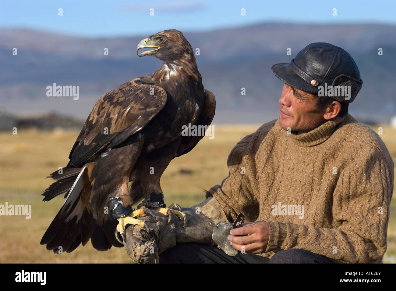 An eagle hunter prepares to demonstrate his eagle for spectators at the ...