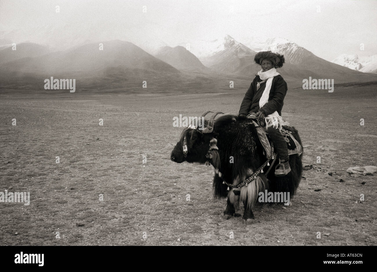 Tibetan man riding a yak Stock Photo - Alamy