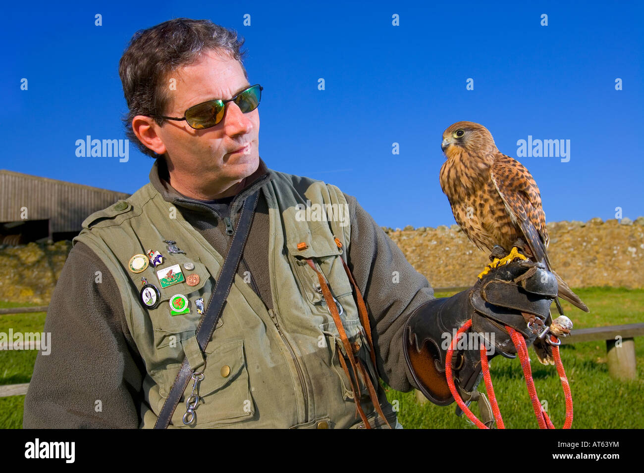 Gary D'Aquitaine, Falconer, Holding Kestrel hawk Appuldurcombe House ...