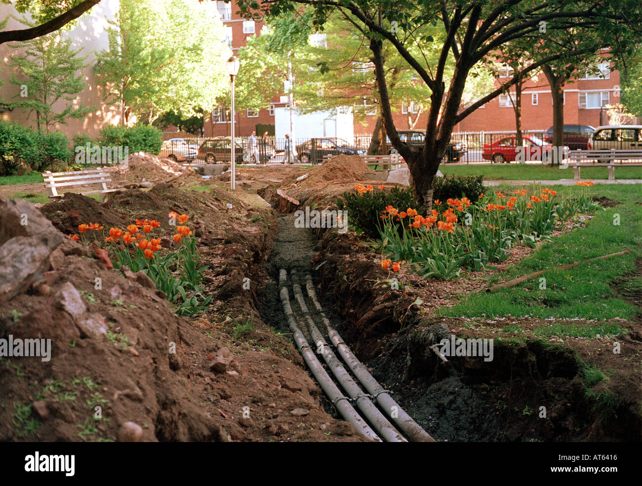 Conduit is laid through a flower bed Stock Photo - Alamy