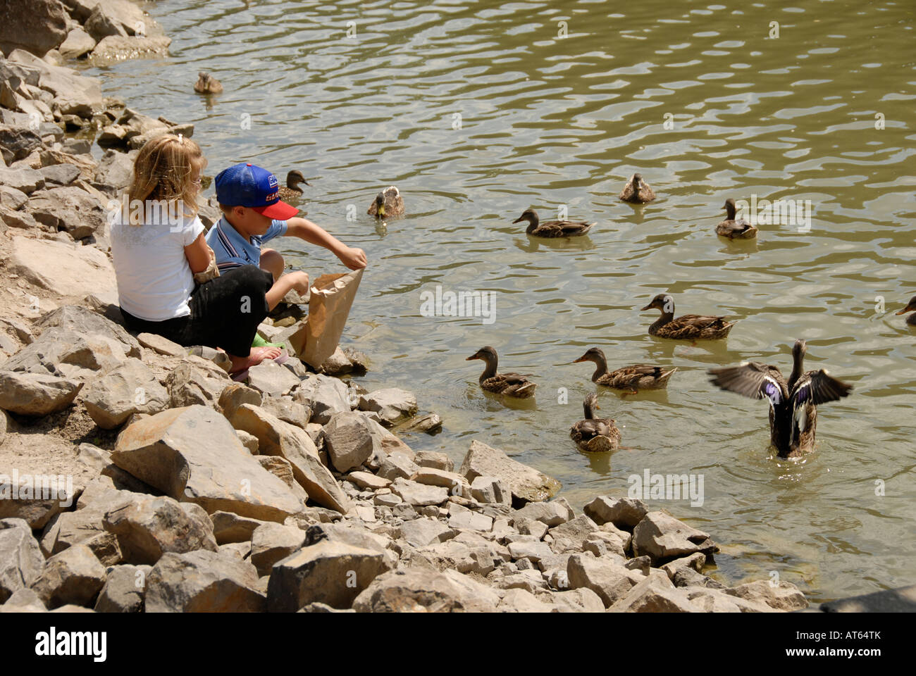 Boy girl ducks hi-res stock photography and images - Alamy