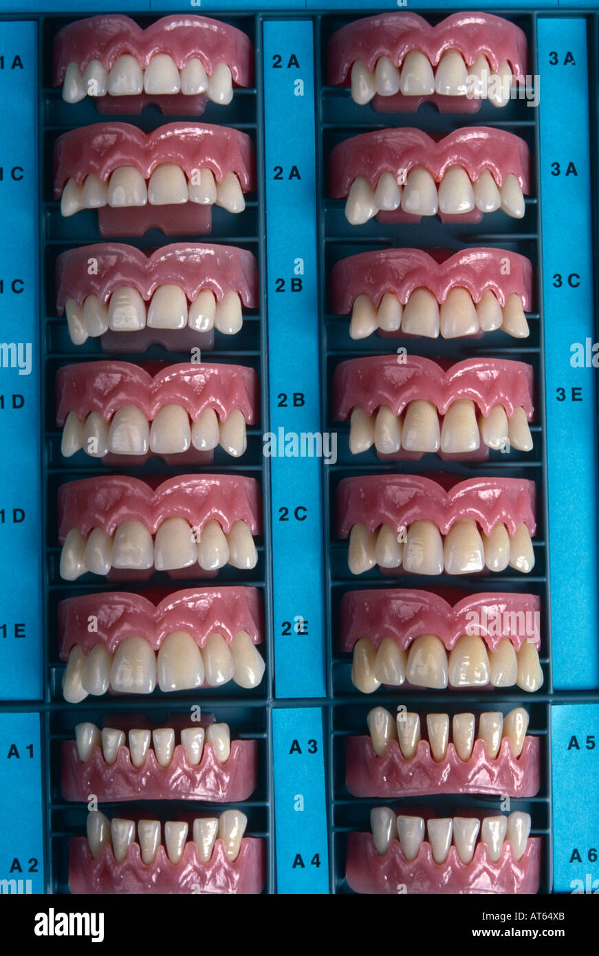 Acrylic teeth samples displayed at Ivoclar in Schaan, Liechtenstein who ...