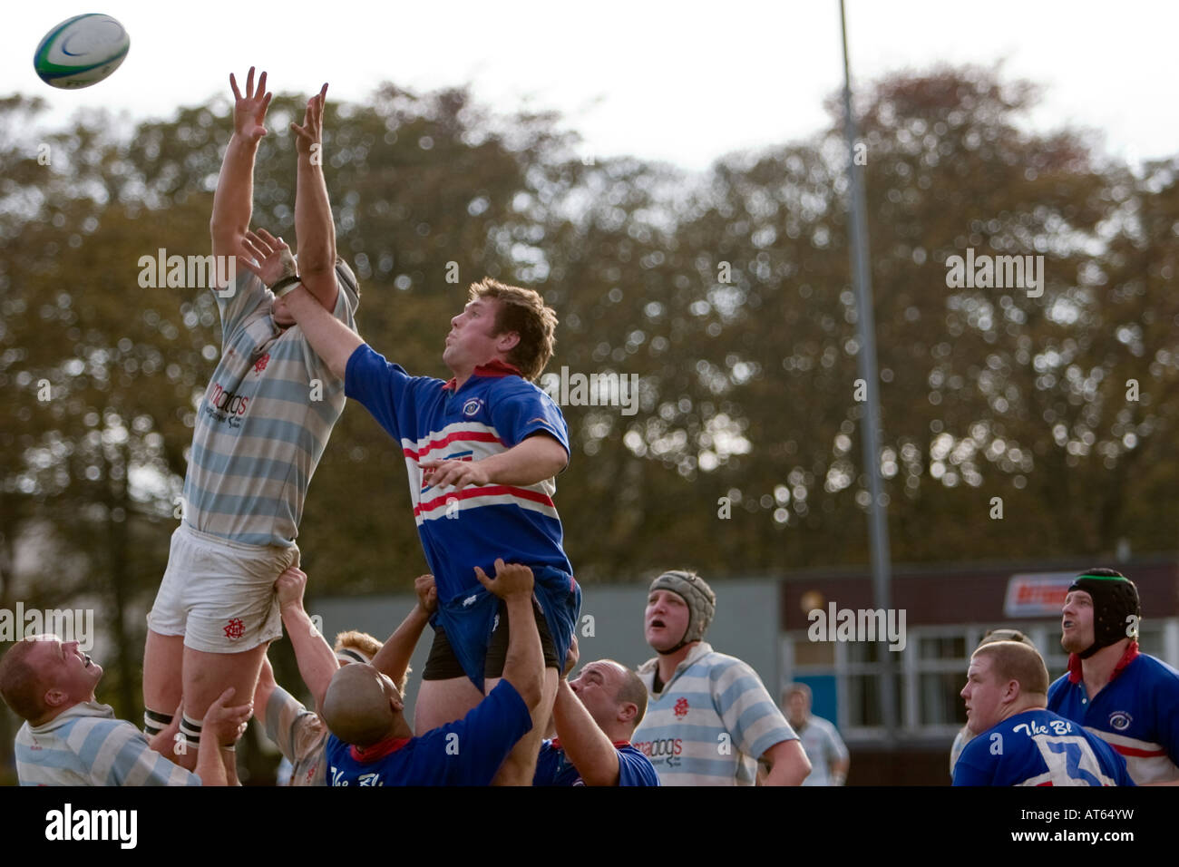 Action lineout line out jump hi-res stock photography and images - Alamy