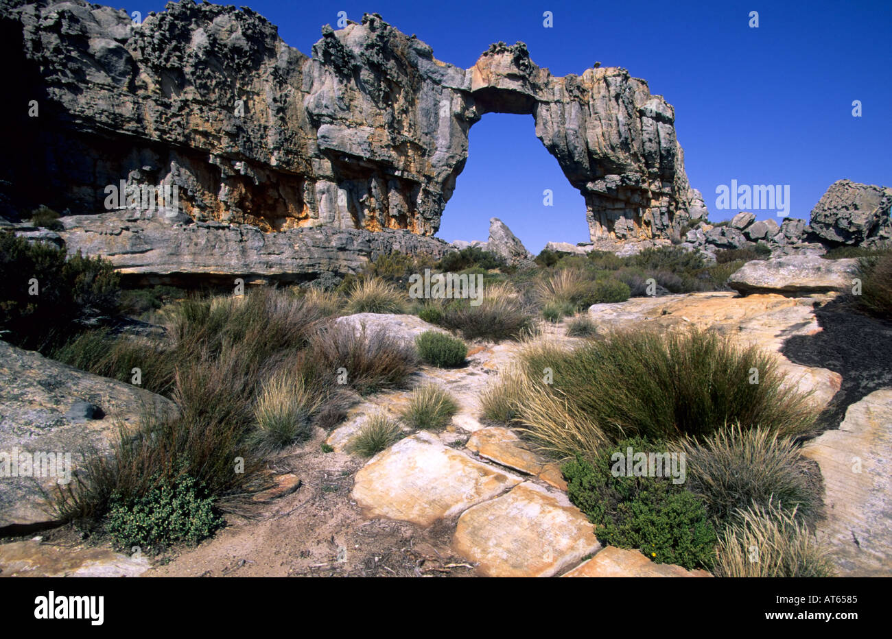 Wolfberg Arch, Cederberg Wilderness Area, South Africa Stock Photo - Alamy