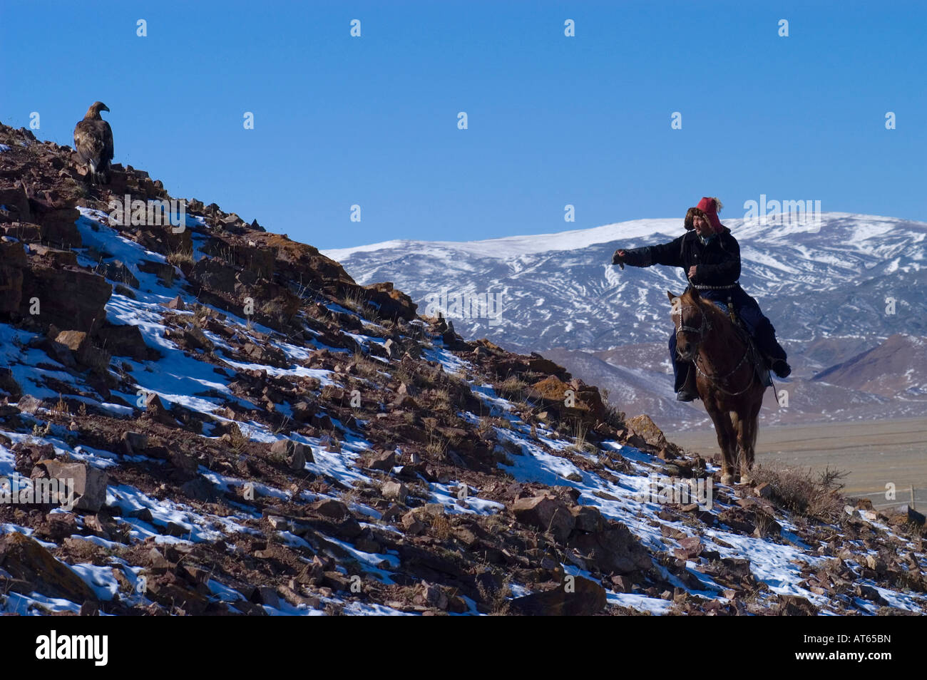 Kazakh hunting eagle hi-res stock photography and images - Alamy