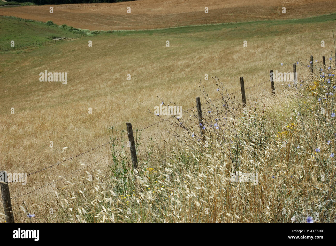 Field and fence Stock Photo - Alamy