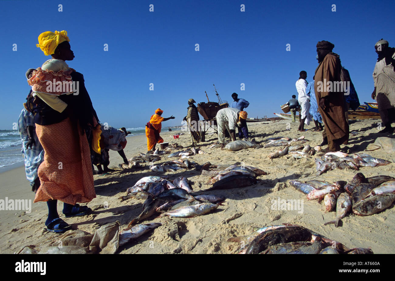 Fish market, Plage de Peche, Nouakchott, Mauritania Stock Photo - Alamy