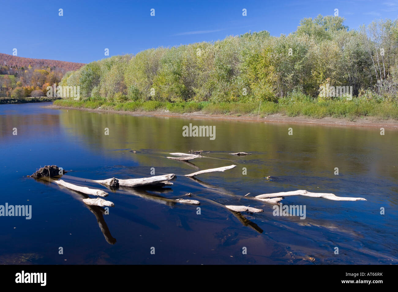 The Connecticut River in Maidstone, Vermont Stock Photo - Alamy