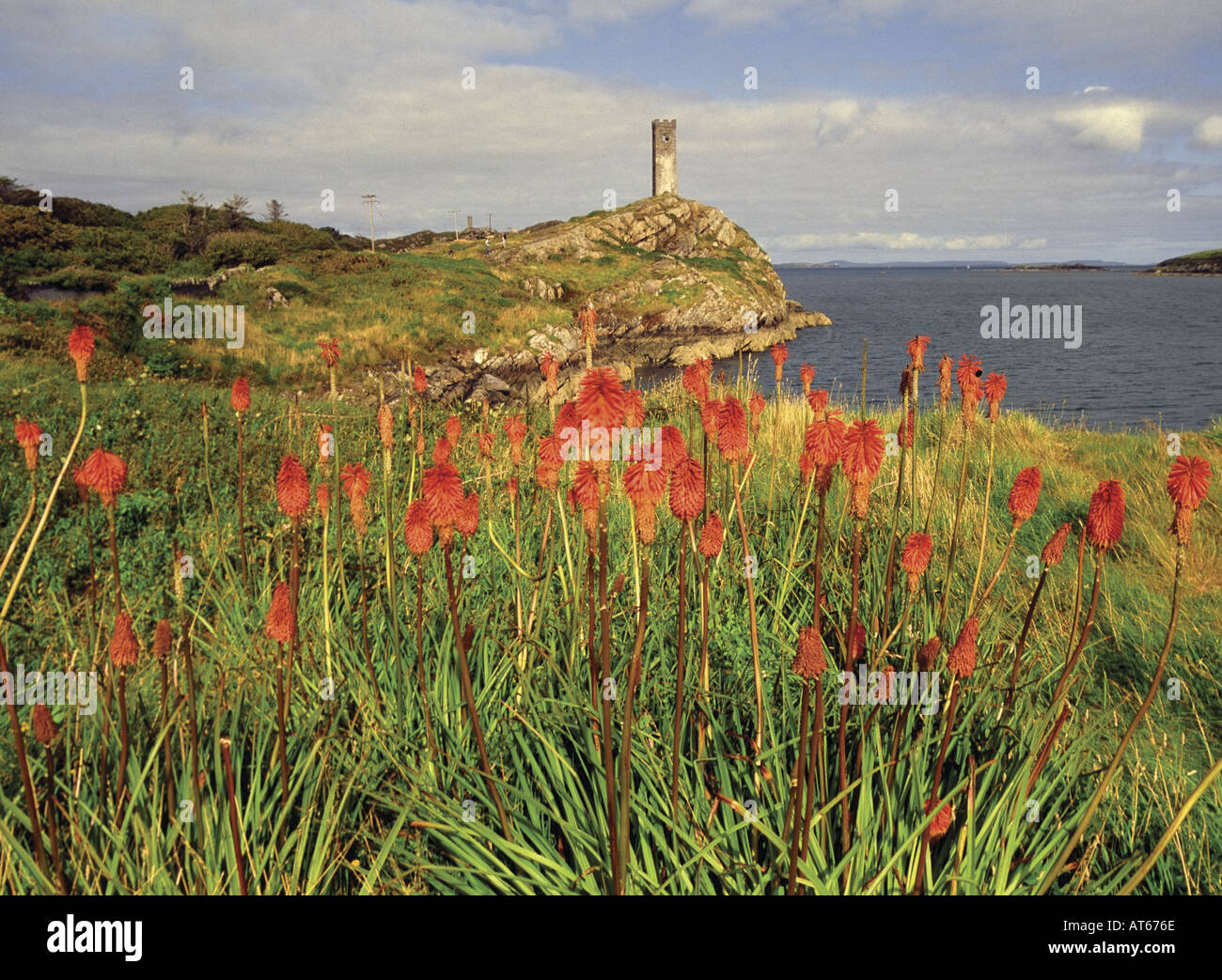 ireland county cork crookhaven lighthouse Stock Photo - Alamy