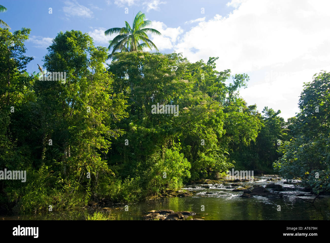 Fuipisia Falls 55 m On The Mulivaifagatola River Atua Samoa Upolu Stock ...