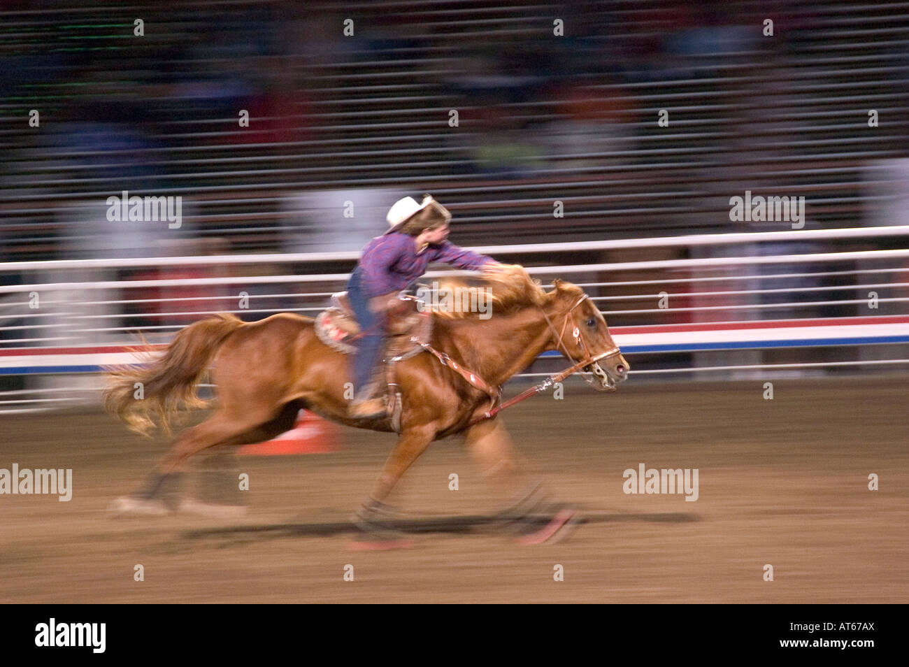 Rodeo action during in hi-res stock photography and images - Alamy