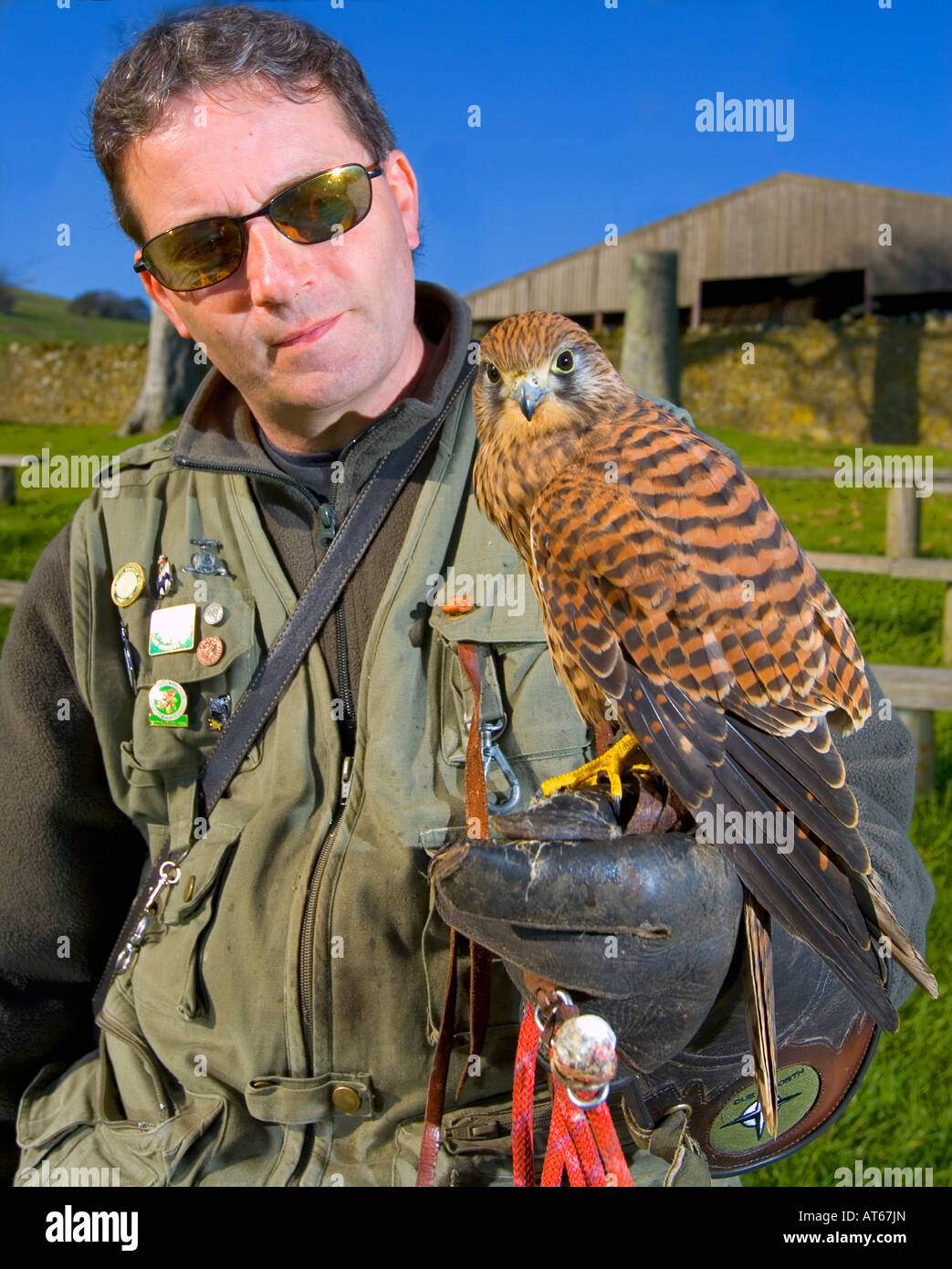 Gary D'Aquitaine, Falconer, Appuldurcombe House, Isle of Wight, England ...