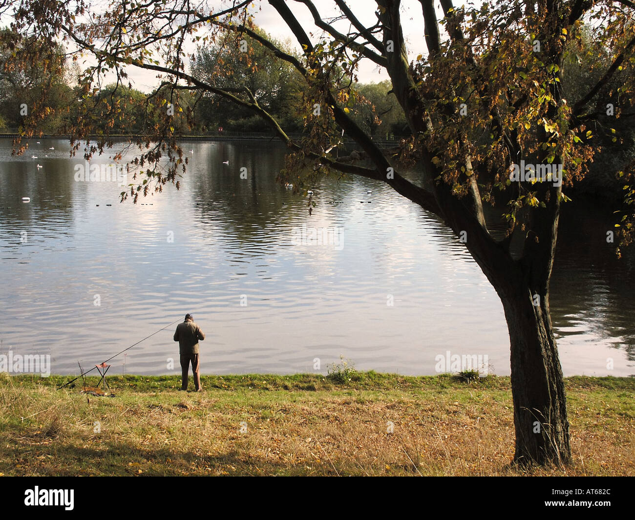 Highgate ponds hi-res stock photography and images - Alamy