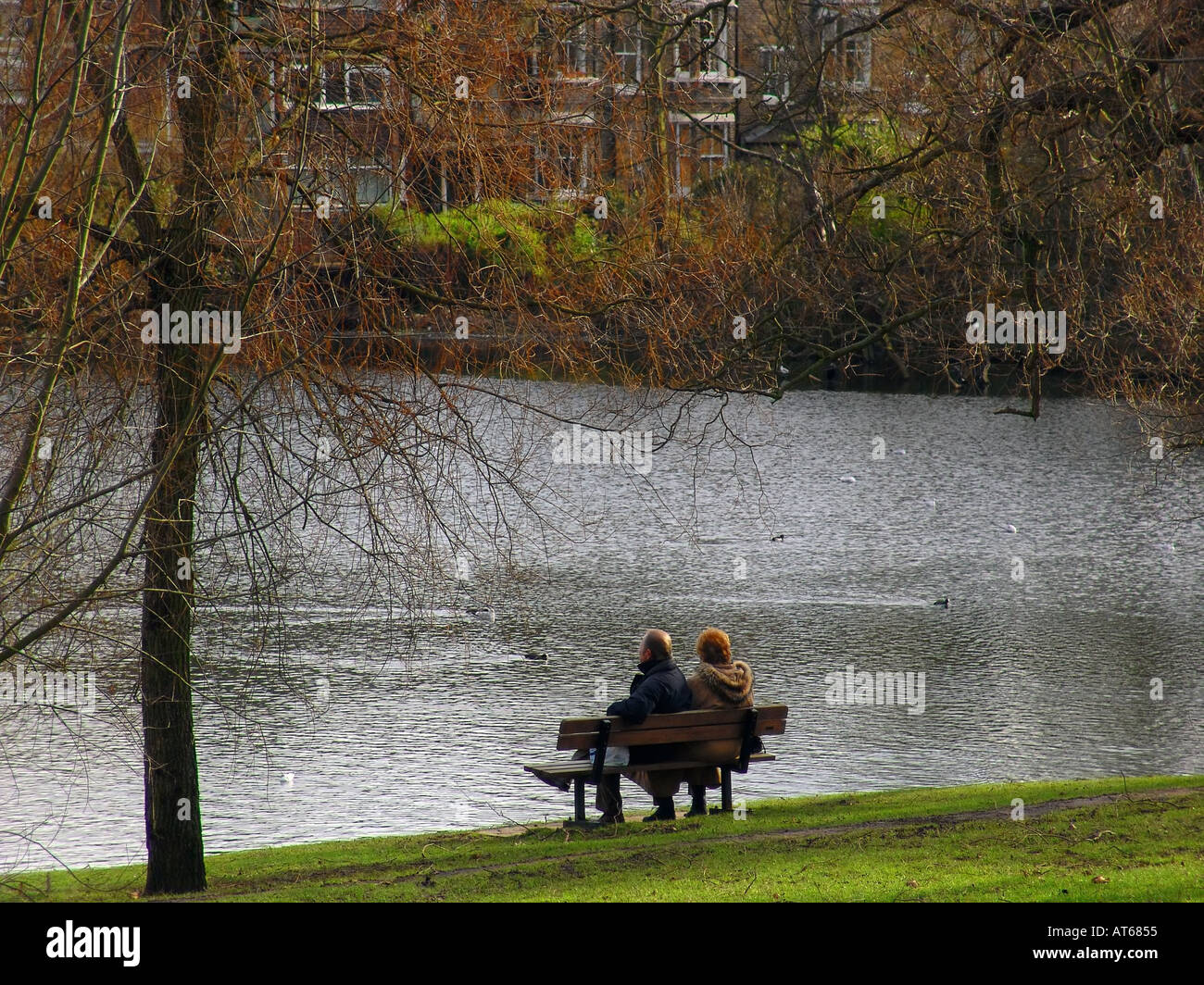 Highgate ponds hi-res stock photography and images - Alamy