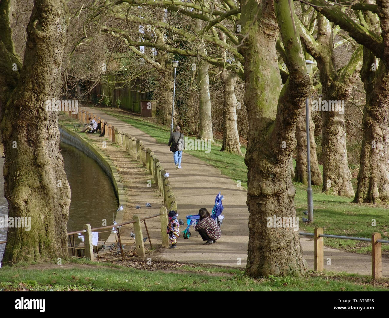 hampstead heath camden london hampstead ponds woman with young children ...