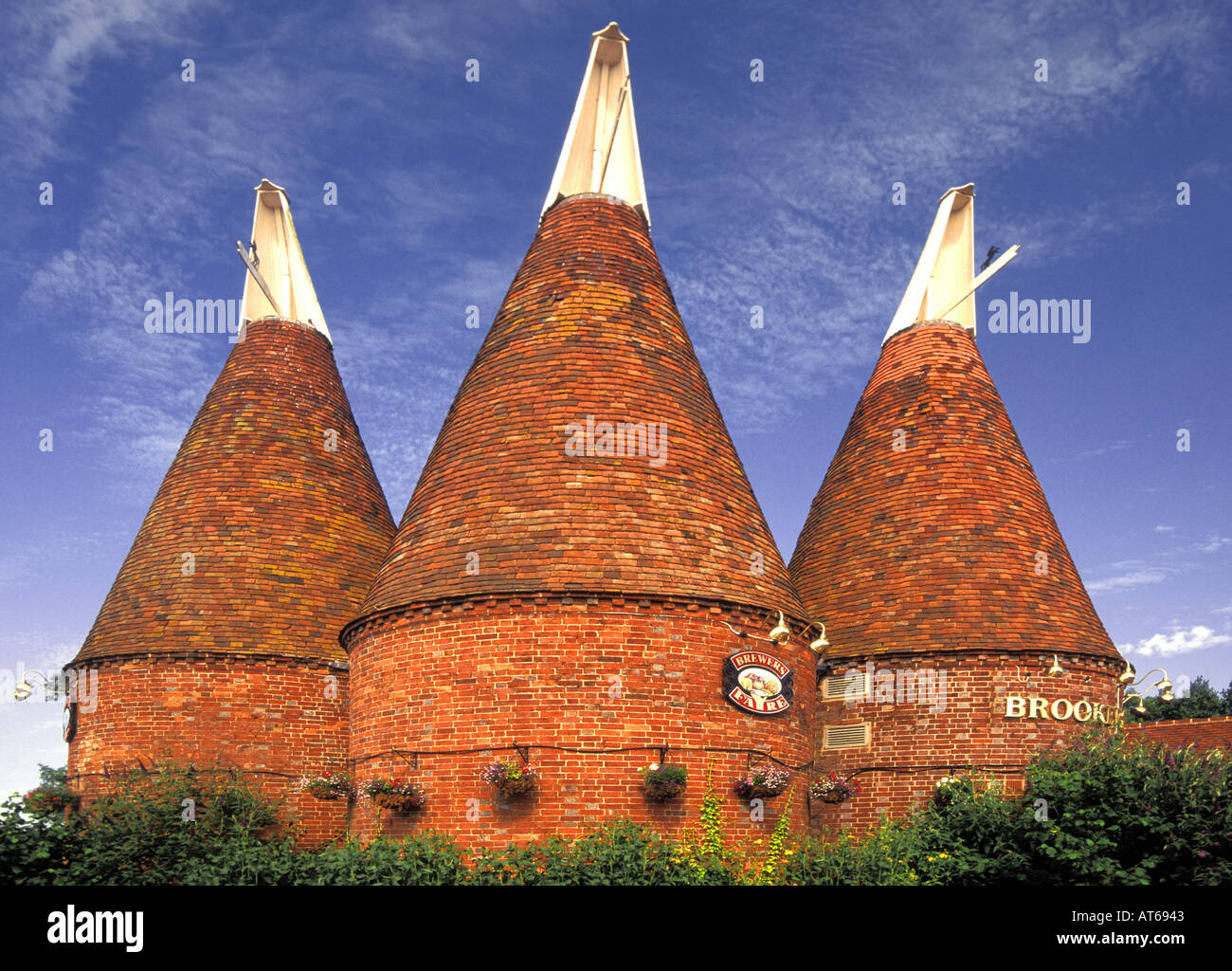 Largest hop farm hi-res stock photography and images - Alamy