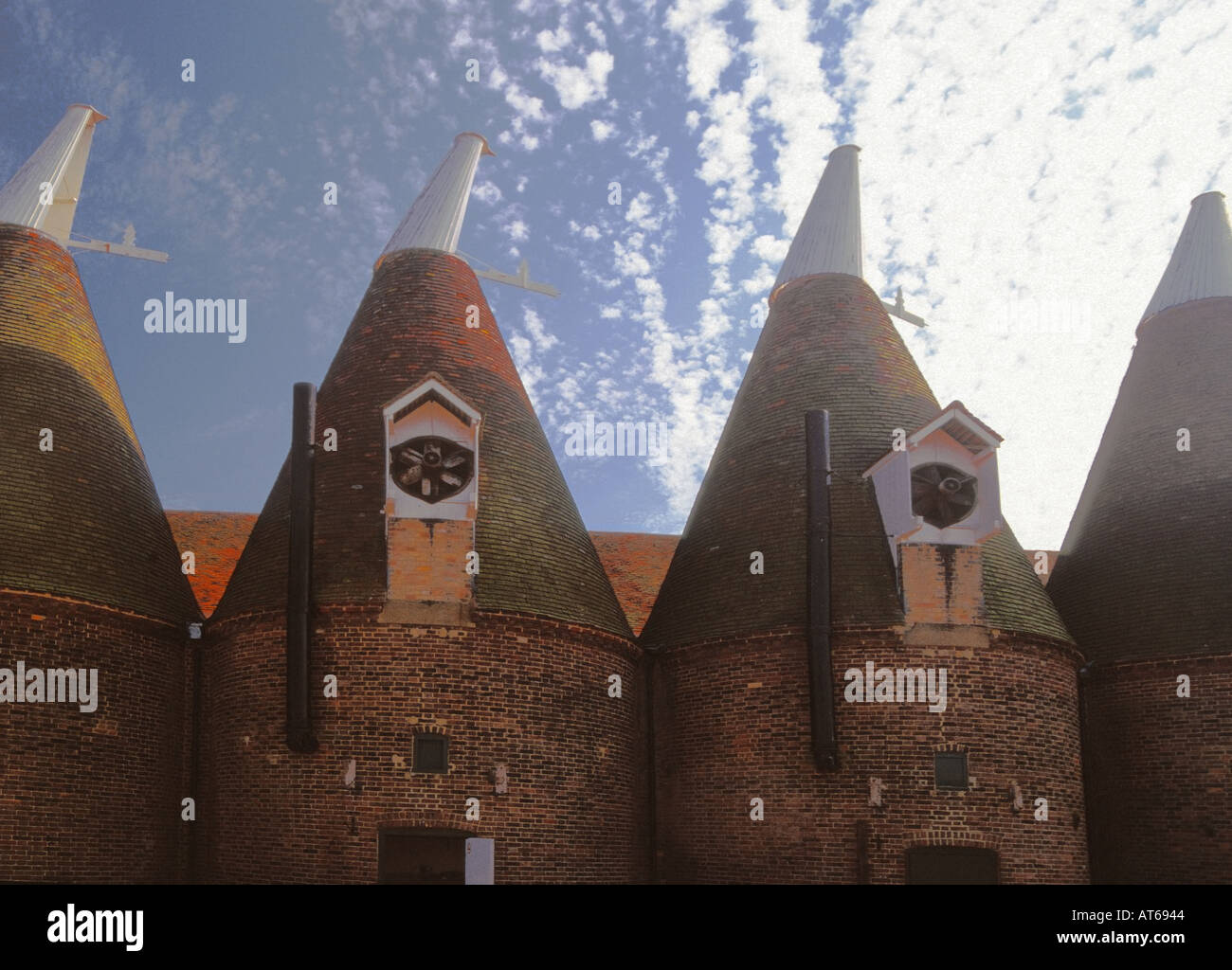 whitbread hop farm belting kent england Stock Photo - Alamy