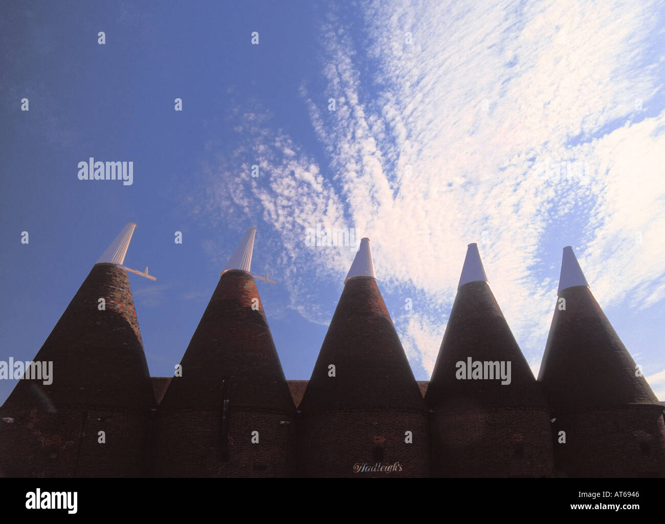 Whitbread hop farm hi-res stock photography and images - Alamy