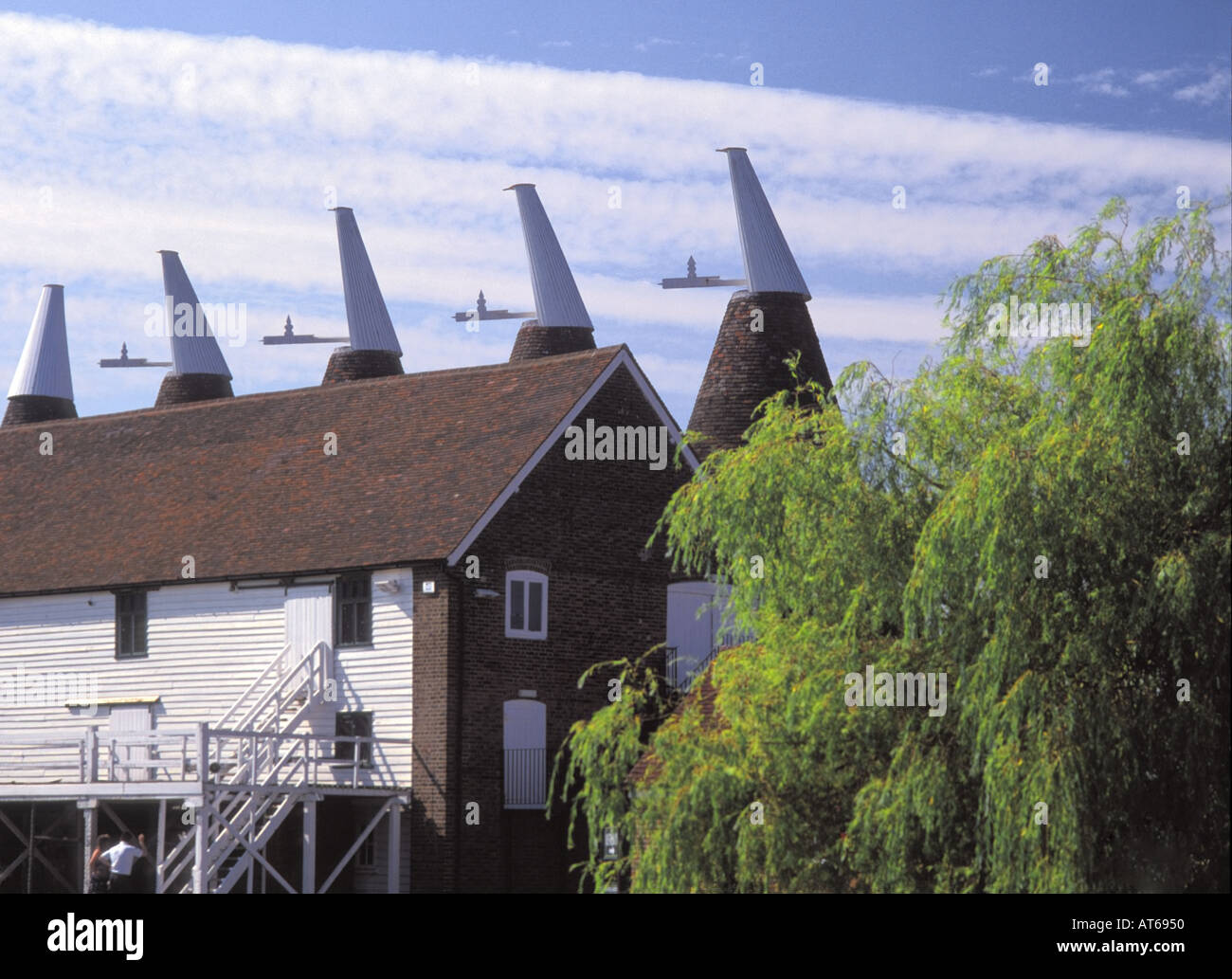 Whitbread hop farm hi-res stock photography and images - Alamy