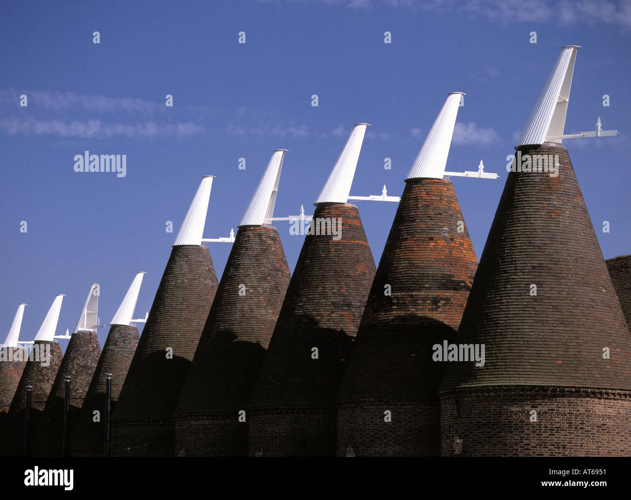 Largest hop farm hi-res stock photography and images - Alamy