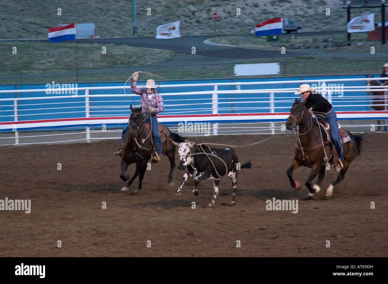 Team roping rodeo competition hi-res stock photography and images - Alamy